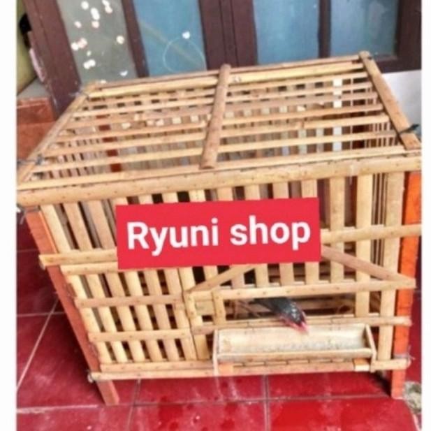 Jual kandang bambu rakit 70x50 cm | Shopee Indonesia