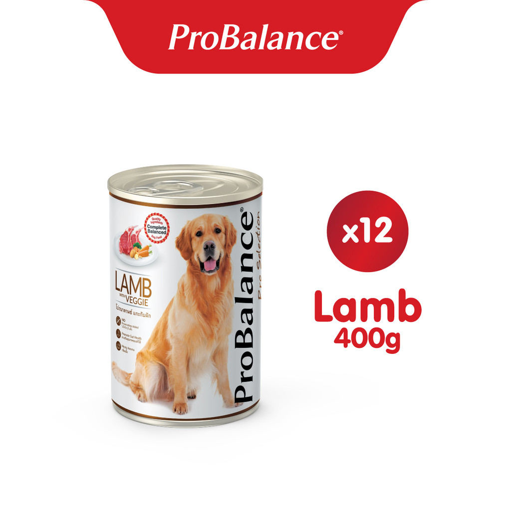 Jual ProBalance Makanan Anjing Basah Rasa Lamb 400gr - Isi 12 | Shopee ...
