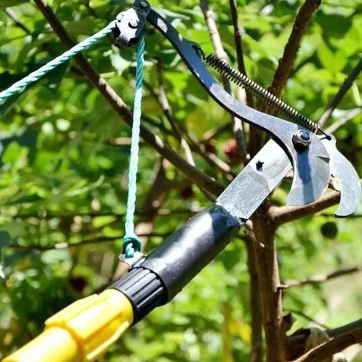 Jual Gunting Potong Dahan Ranting Pohon Tari Tali Ongdo Gunting Dahan ...