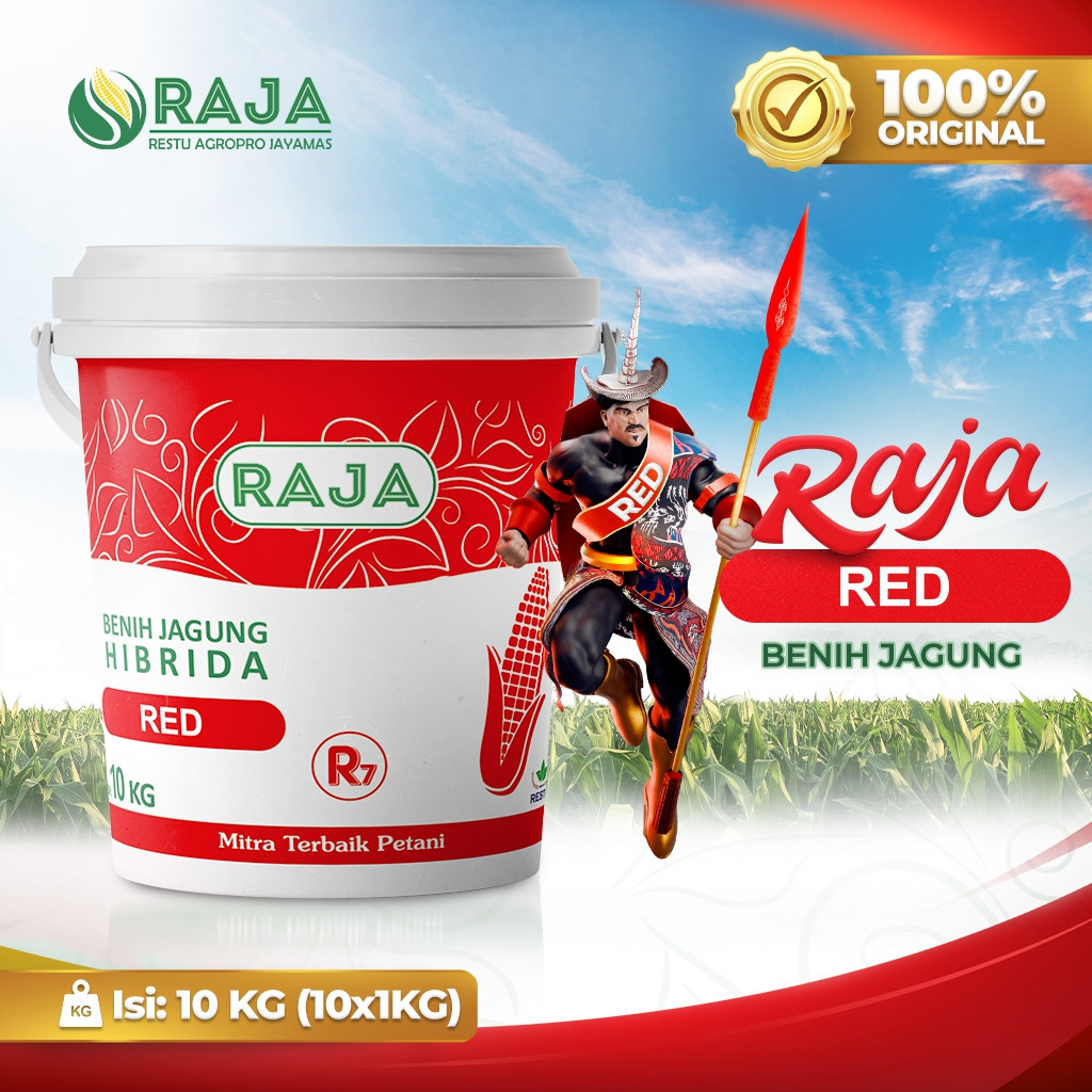 Jual Benih Jagung Hibrida RAJA R7 Red - 10kg Kemasan Pail/Ember | Shopee Indonesia