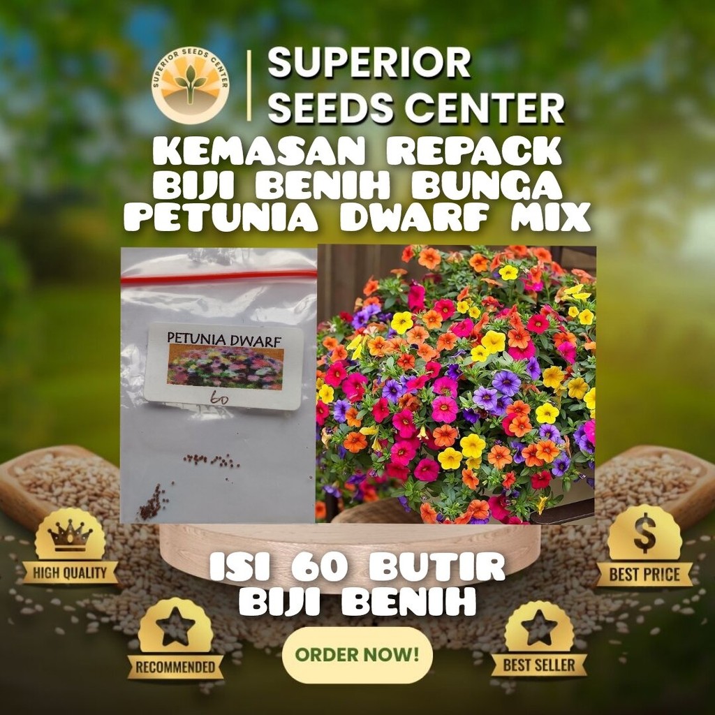 Jual 60 Butir Biji Benih Bunga Petunia Dwarf Mix Warna (Kemasan Repack ...