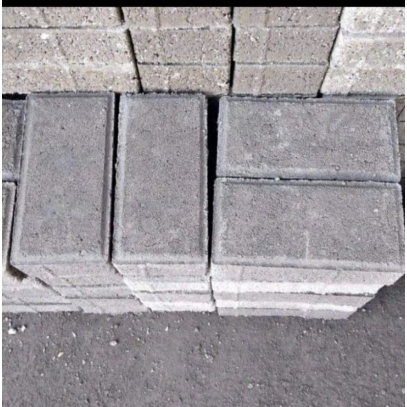 Jual HOT SALE PAVING BLOCK BATA KUALITAS PRESS HIDRAULIK (20x10)TEBAL 6 ...