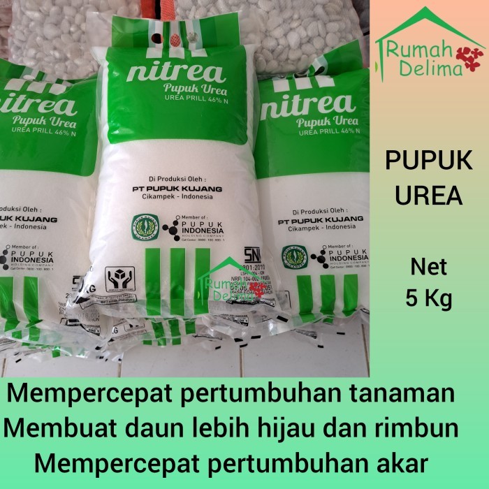 Jual PUPUK TANAMAN UREA NITREA NON SUBSIDI KEMASAN PABRIK 5 KG | Shopee ...