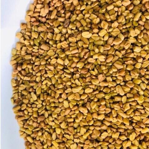 Jual HALBA / FENUGREEK SEEDS / IMPORT 10 KG | Shopee Indonesia