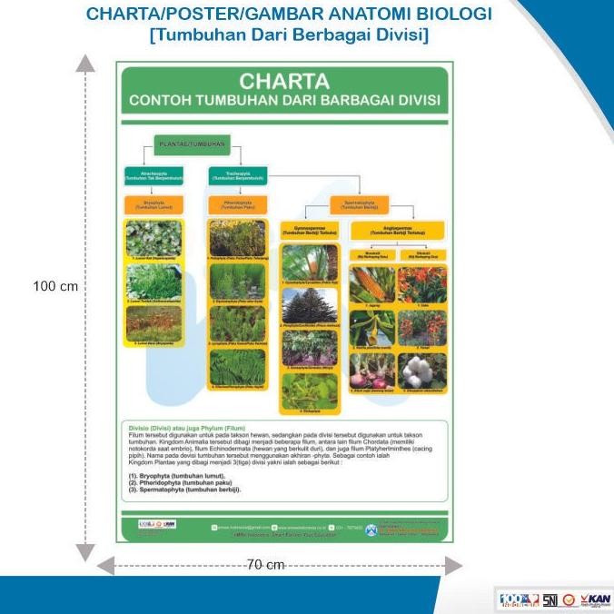 Jual CHARTA/GAMBAR/POSTER TUMBUHAN DARI BERBAGAI DIVISI | Shopee Indonesia