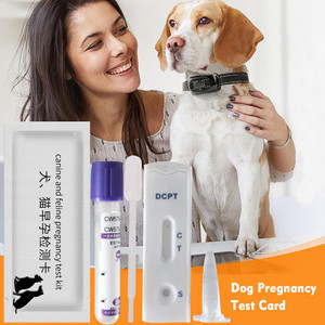 Jual LabTestKit Dog Pregnancy Test Card Canine Feline Early Pregnancy ...