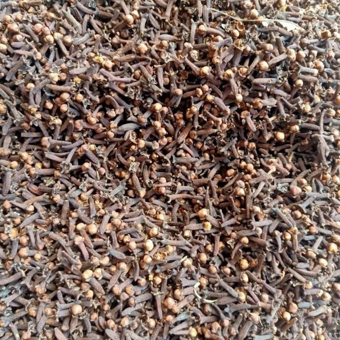 Jual Cengkeh premium 1 kg kilo Clove Whole bunga Cengkih kering Dan ...
