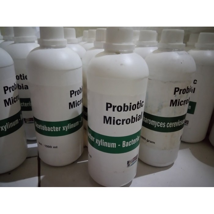 Jual Bakteri Acetobacter Xylinum 1 Liter | Bahan Nata De Coco | Shopee ...