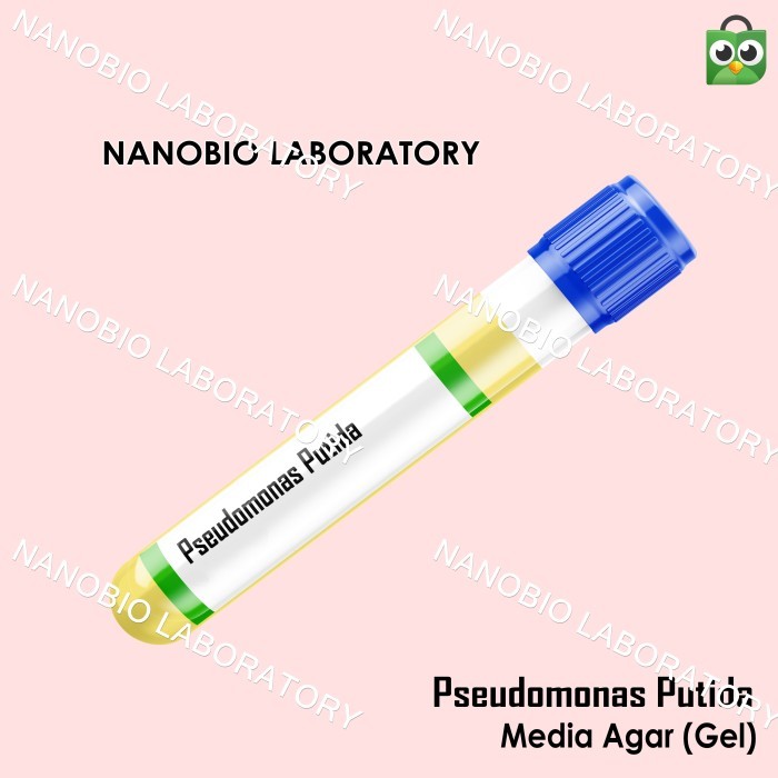 Jual Isolat Culture Pseudomonas putida Media Gel Agar | Shopee Indonesia