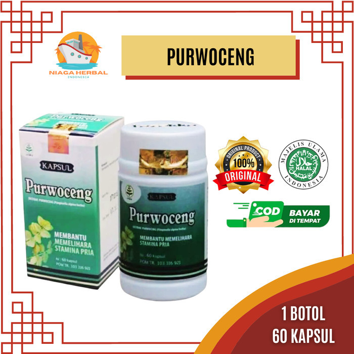 Jual TAZAKKA - Kapsul Purwo ceng PUrwaceng - Herbal Stamina Pria ...