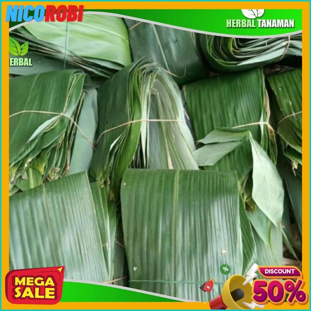 Jual Daun Bambu Jumbo 100 Lembar - Daun Bambu Bakcang - Daun Bacang ...