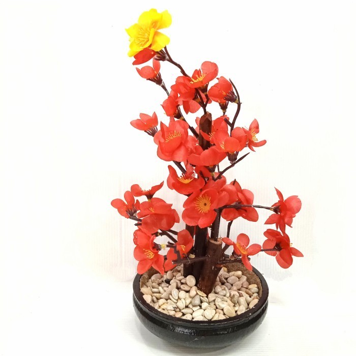 Jual pohon imlek mini/pohon imlek meihua mini | Shopee Indonesia