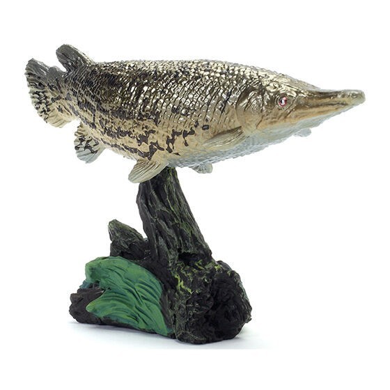 Jual Ancient ikan predator Fish Ikimono Gashapon Bandai arwana aligator ...