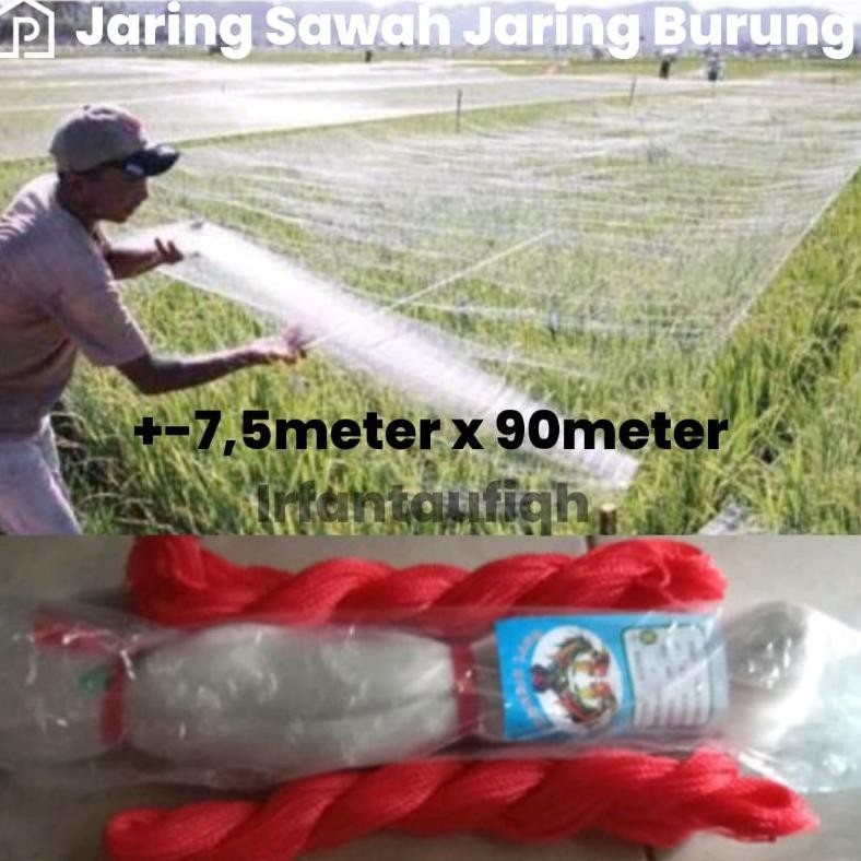 Jual Jaring Burung Jaring Sawah pengaman Padi | Shopee Indonesia