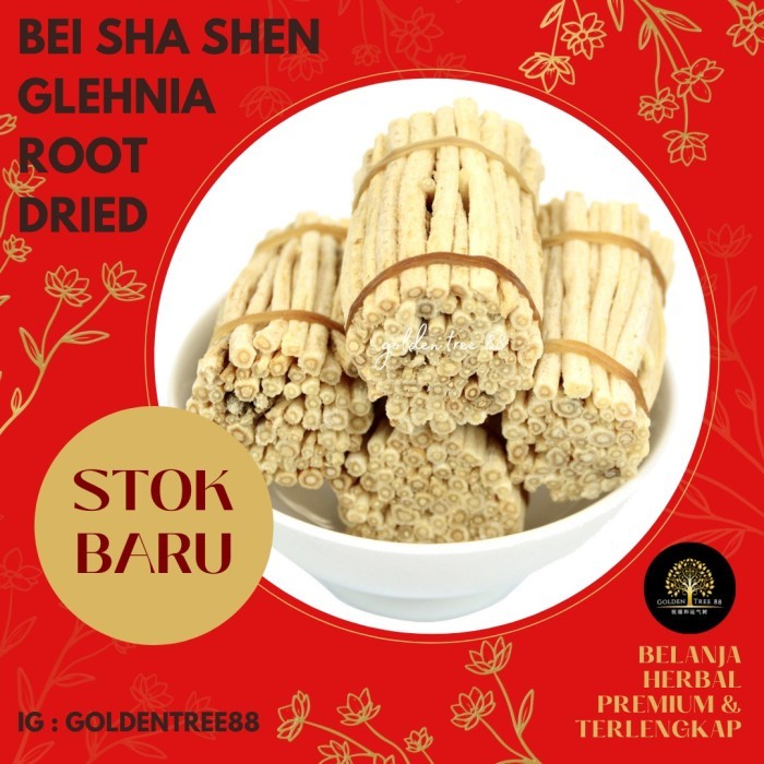 Jual Legend - 50Gram Premium Bai Sha Shen Sasom Shasom Shashen Coastal Glehnia Root | Shopee ...