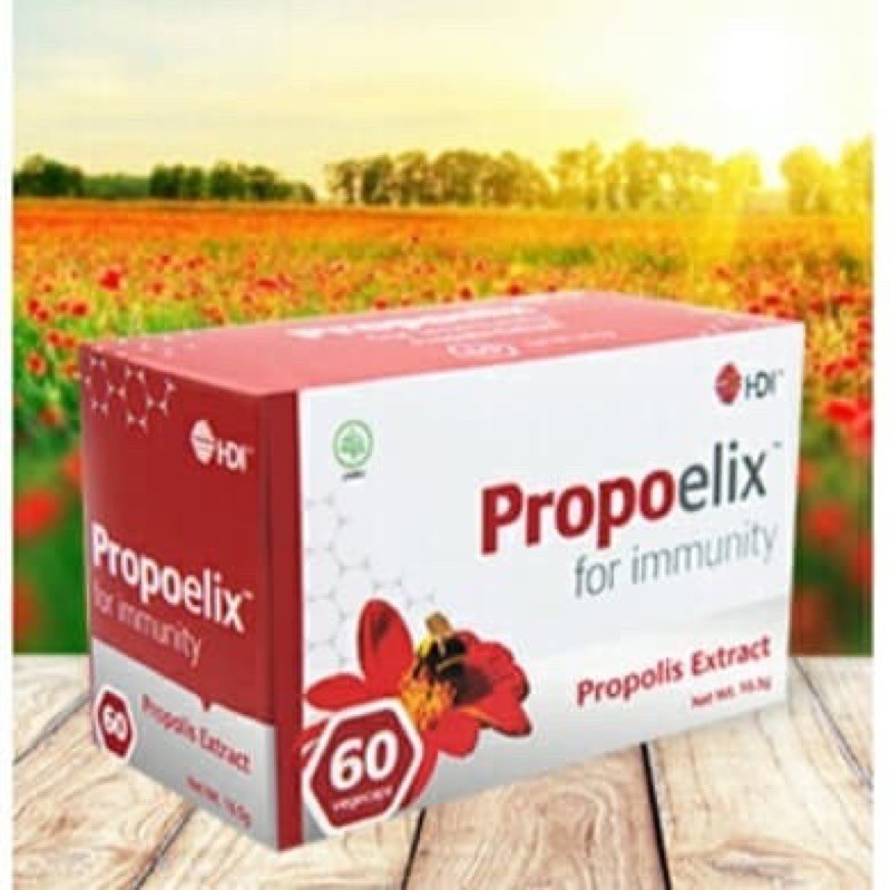 Jual PROPOELIX 60 CAPS Original 100% | Shopee Indonesia