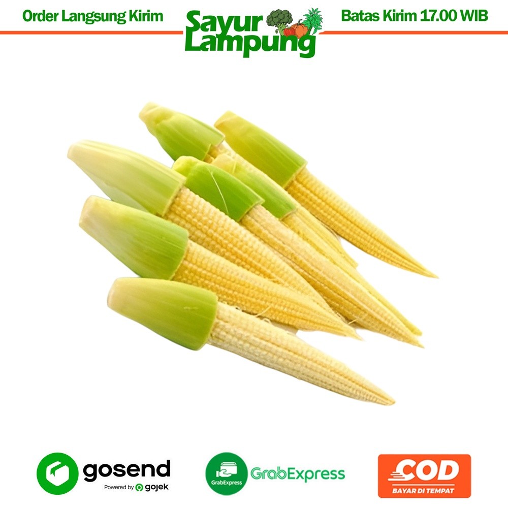 Jual Putren / Soleng / Jagung Muda 1 Kg - Sayur Lampung | Shopee Indonesia