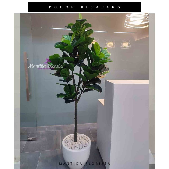 Jual Pohon Ketapang Artificial Tinggi Pohon 2 Meter | Shopee Indonesia