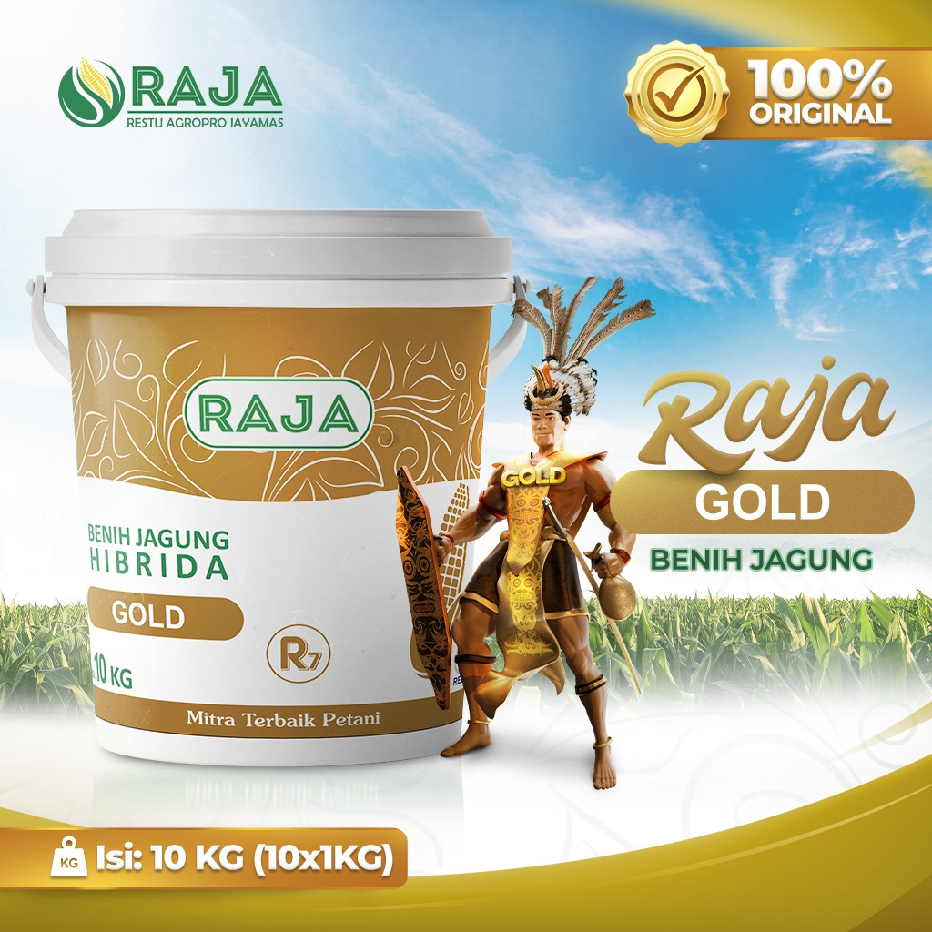 Jual Benih Jagung Hibrida RAJA R7 Gold - 10kg Kemasan Pail/Ember ...