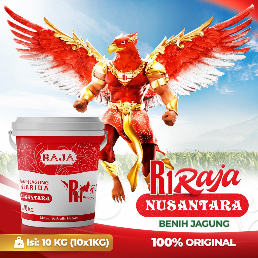Jual Benih Jagung Raja R1 Nusantara - 10kg Kemasan Pail/Ember | Shopee ...