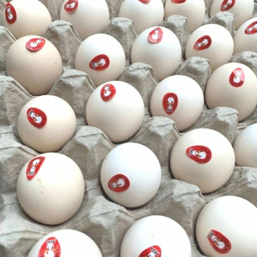 Jual Telur Ayam Kampung Omega 3 Merah per 30 btr | Shopee Indonesia