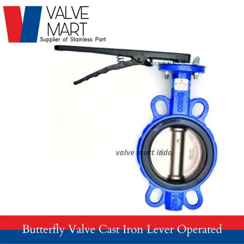 Jual 4" Butterfly Valve Cast Iron Seat EPDM Disc SS 304 Hand Lever ...