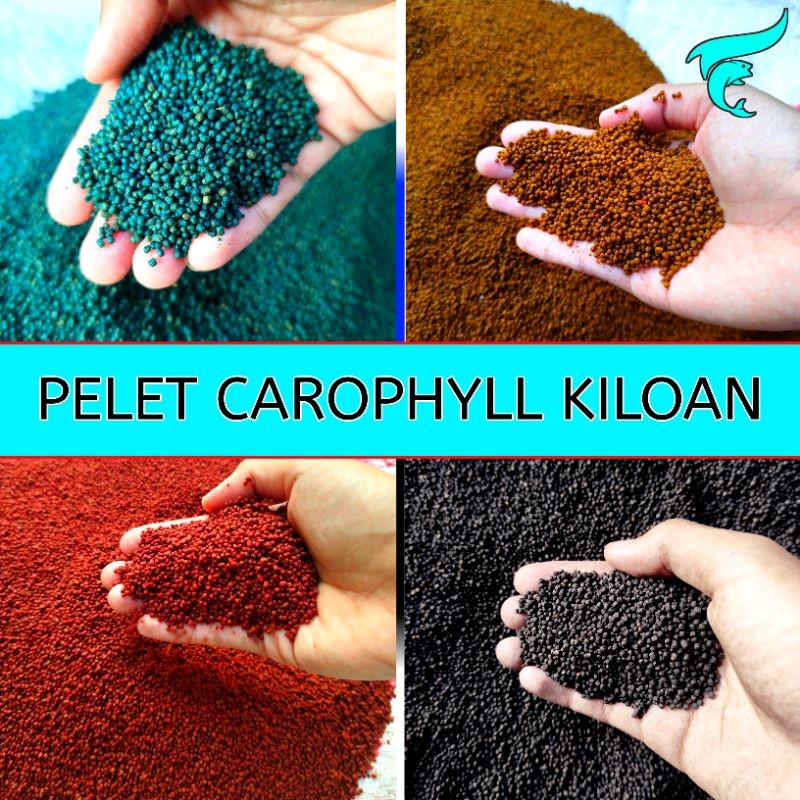 Jual Pelet racikan carophyll x astaxanthin 1 kg/1000gram size 0,5 mm ...