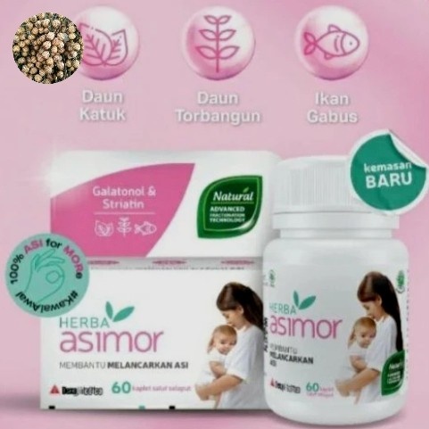 Jual HERBA ASIMOR STRIP / KAPSUL ASI BOOSTER / PELANCAR ASI | Shopee ...