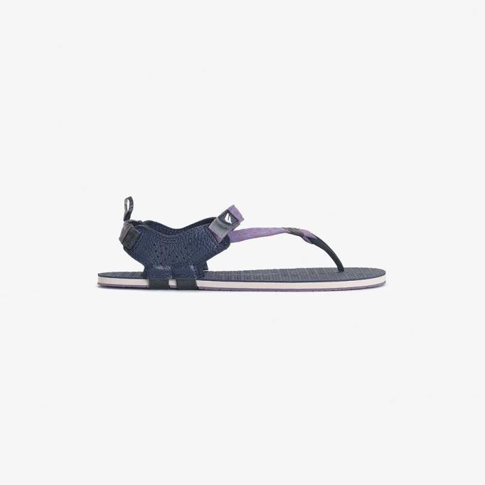 Jual TAPAK V1.5 BAREFOOT FLIP FLOPS (SANDAL PYOPP FLEDGE) - MIDNIGHT ...