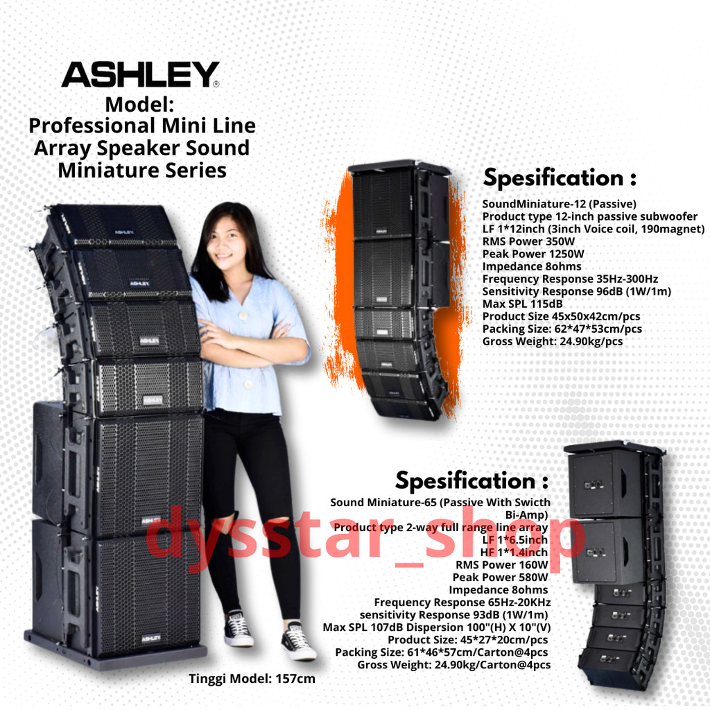 Jual ORIGINAL BREWOG ASHLEY NUSANTARA PAKET Professional Mini Line Array Speaker Sound Miniature ...