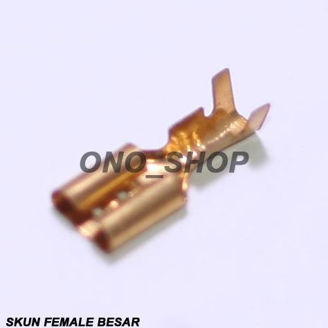 Jual Skun Female Besar ( 100 Pcs ) | Shopee Indonesia