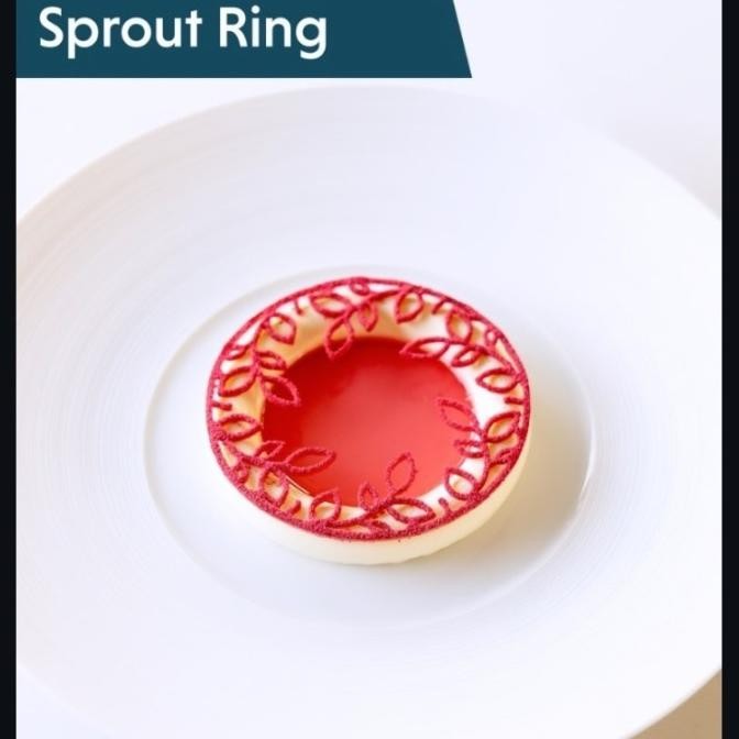 Jual TUILE SILICONE MOLD SPROUT RING COCOK UNTUK COKLAT 0412T | Shopee Indonesia