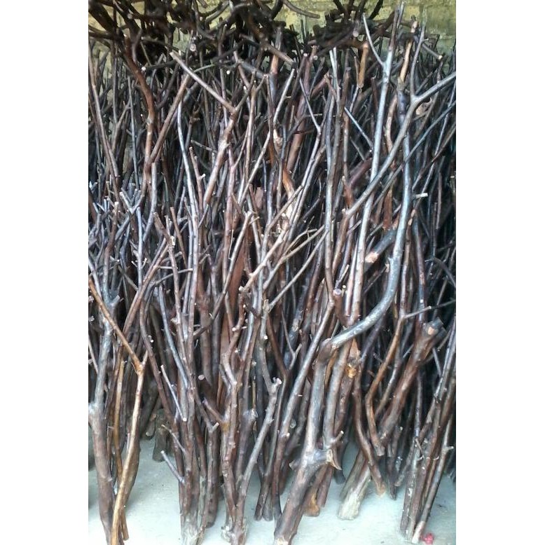 Jual Rangkaian Ranting Batang untuk Bunga / Pohon Plastik 100 Cm ...