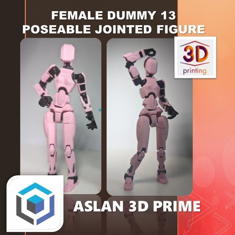 Jual Female Dummy 13 Type-F Jointed Poseable Action Figure Luy 3D Print ...