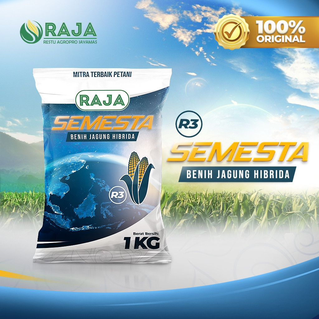 Jual Benih Jagung Hibrida RAJA R3 Semesta - 1kg | Shopee Indonesia