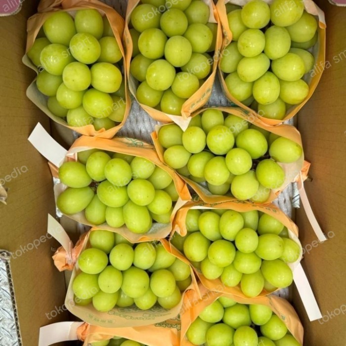 Jual ANGGUR MUSCAT JEPANG ORIGINAL 1 BOX | Shopee Indonesia