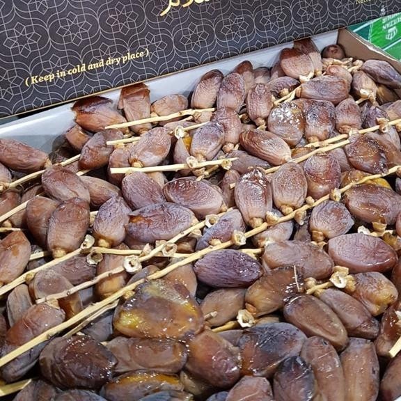 Jual Tunisia tangkai alger 5kg | Shopee Indonesia