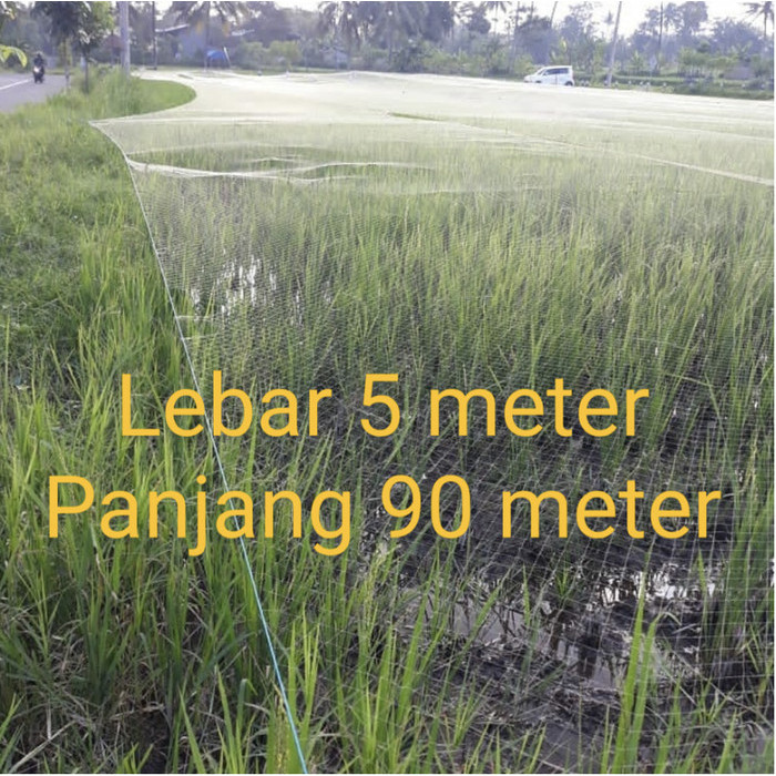 Jual JARING PADI, JARING EMPRIT, JARING SAWAH BONUS TALI NILON PUTIH ...