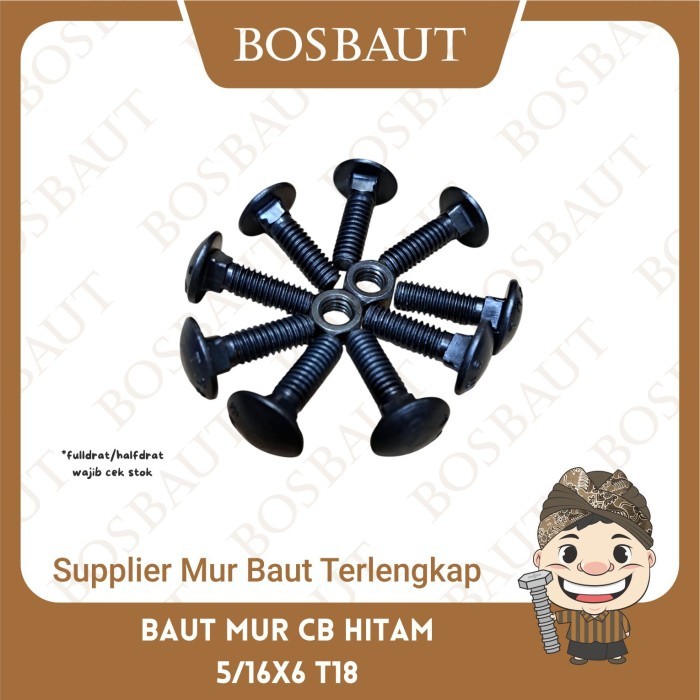 Jual BAUT MUR CB 5/16X6 T18 HITAM / BAUT PAYUNG / BAUT BEMPER | Shopee ...