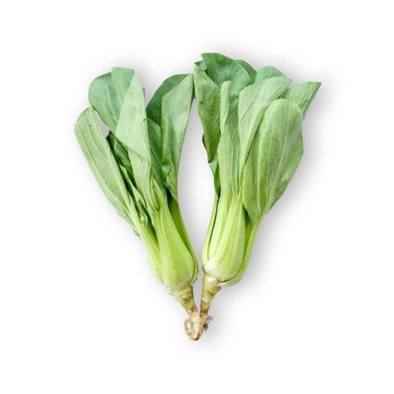 Jual Pakcoy / Pak Choy / Pokcoy Organik 200gr | Shopee Indonesia