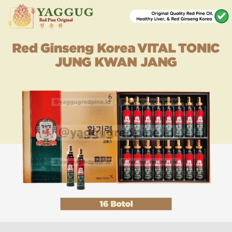 Jual Red Ginseng Korea Vital Tonic Jung Kwan Jang 16 Botol | Shopee ... Jual Red Ginseng Korea Vital Tonic Jung Kwan Jang 16 Botol | Shopee ...