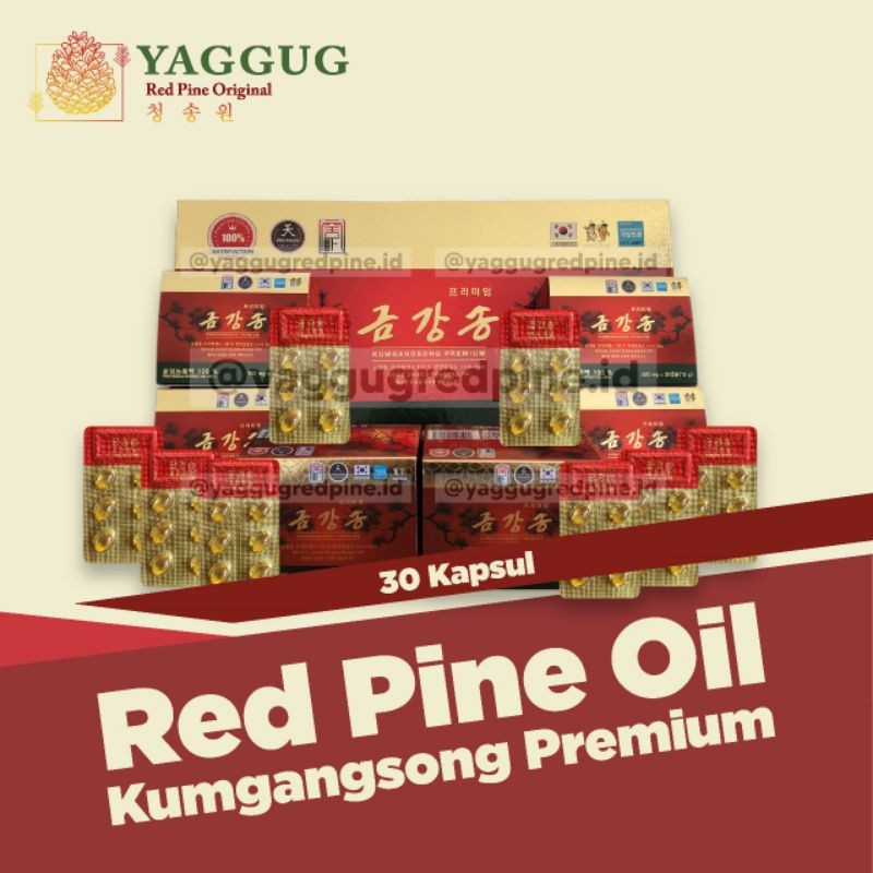 Jual Red Pine Oil Korea Kumgangsong Premium (30 Caps) | Shopee Indonesia