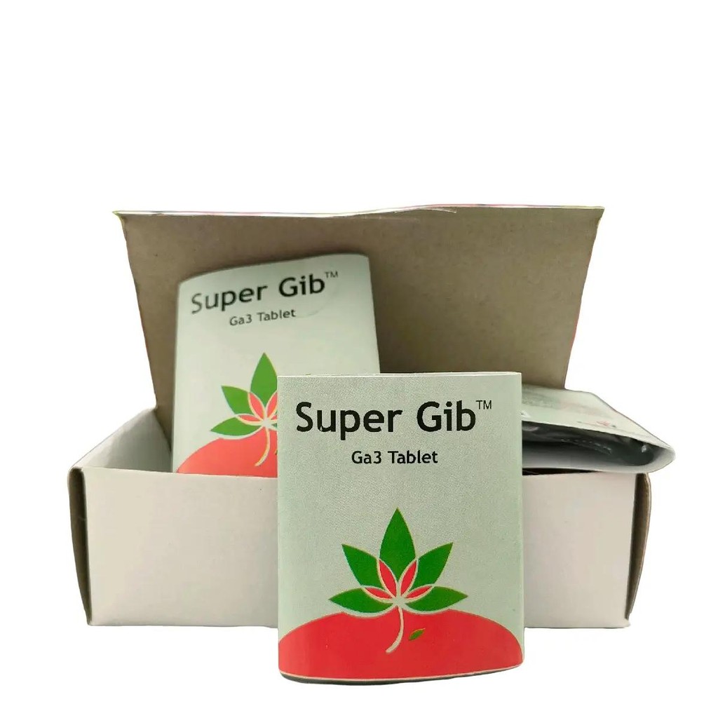 Jual Super Gib isi 10 pcs SuperGib Ga3 Tablet Original Mempercepat ...