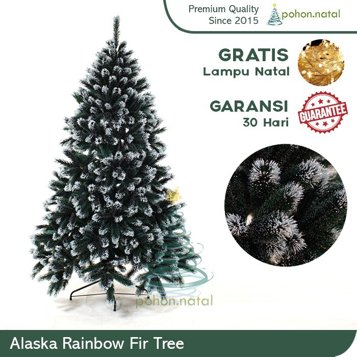 Jual BRG BARU Pohon Natal Alaska Rainbow Fir Tree 5ft ( 150cm) | Shopee ...