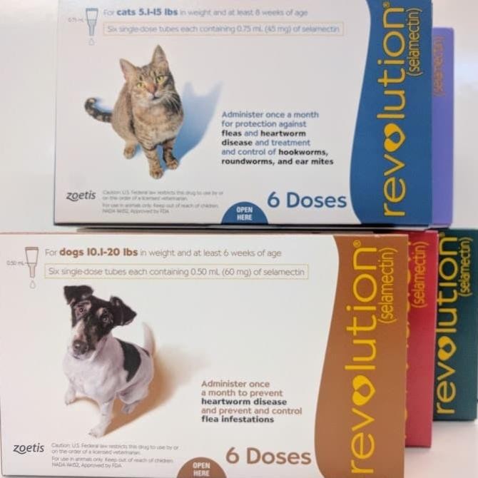 Jual REVOLUTION CAT / REVOLUTION DOG / REVOLUTION TEAL / REVOLUTION ...