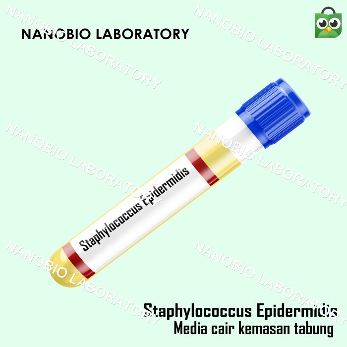 Jual Isolat Culture Staphylococcus Epidermidis Media Cair 100ml ...