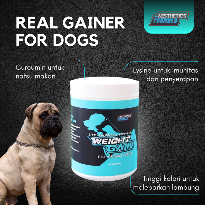 Jual Paket Lean Bully Plus + Weight Gain Vitamin Suplemen Susu Anjing # ...