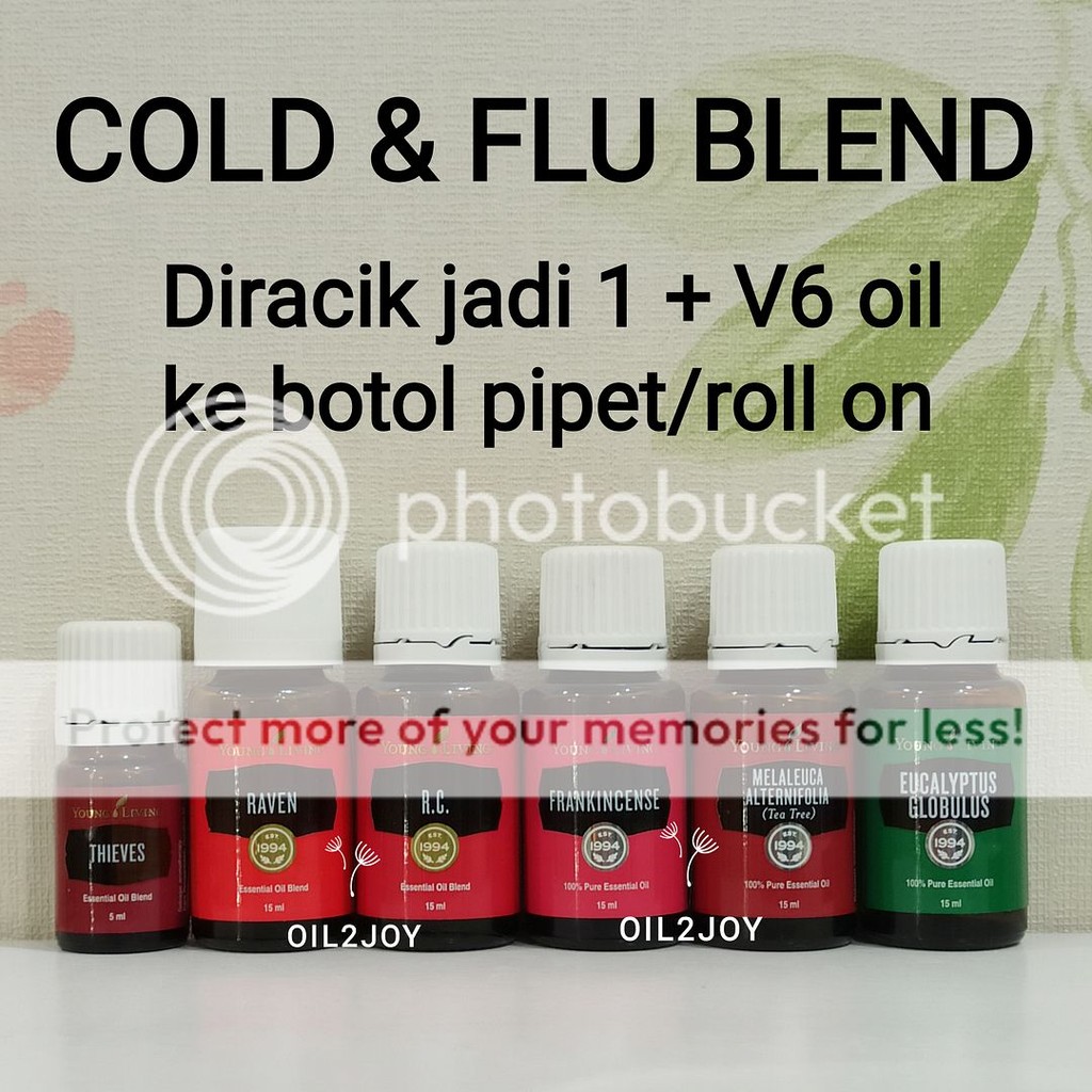 Jual Cold Flu Roll On Repack Blend RC Raven Thieves Frankincense Lemon Peppermint Eucalyptus ...