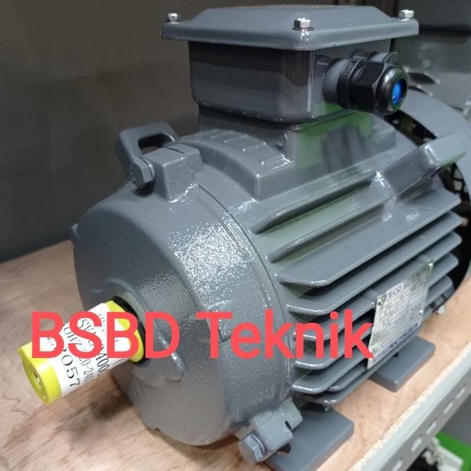 Jual Elektro Motor AC Teco AESV1S 3KW/4HP 2Pole 3Phase 50Hz Class F IP55 | Shopee Indonesia