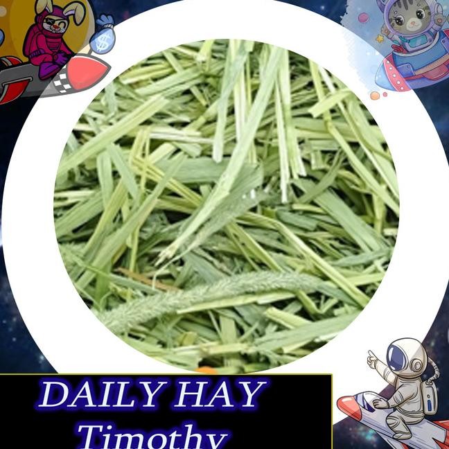 Jual Makanan Kelinci Rumput Daily Timothy Hay Best Choice Organic 1Kg ...